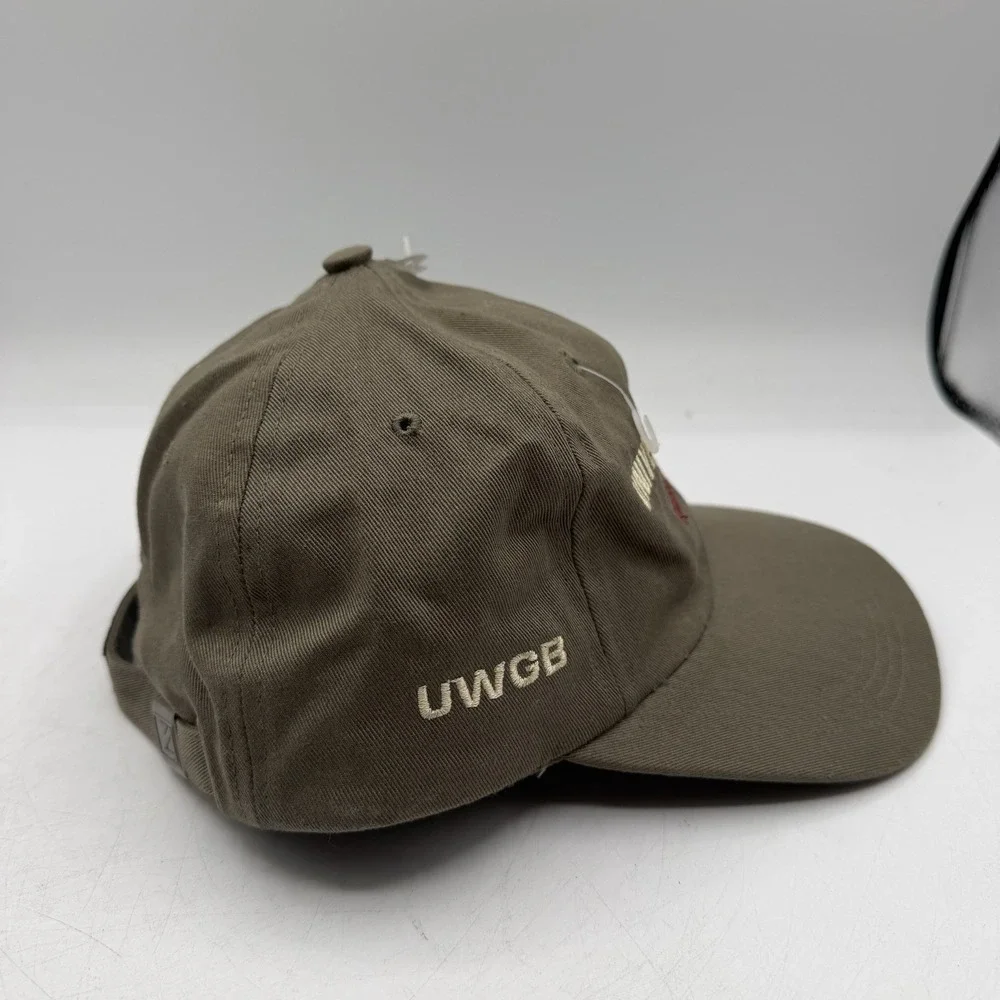 AHEAD | Accessories | Vintage Uwgb Wisconsin Green Bay Phoenix Hat Cap ...